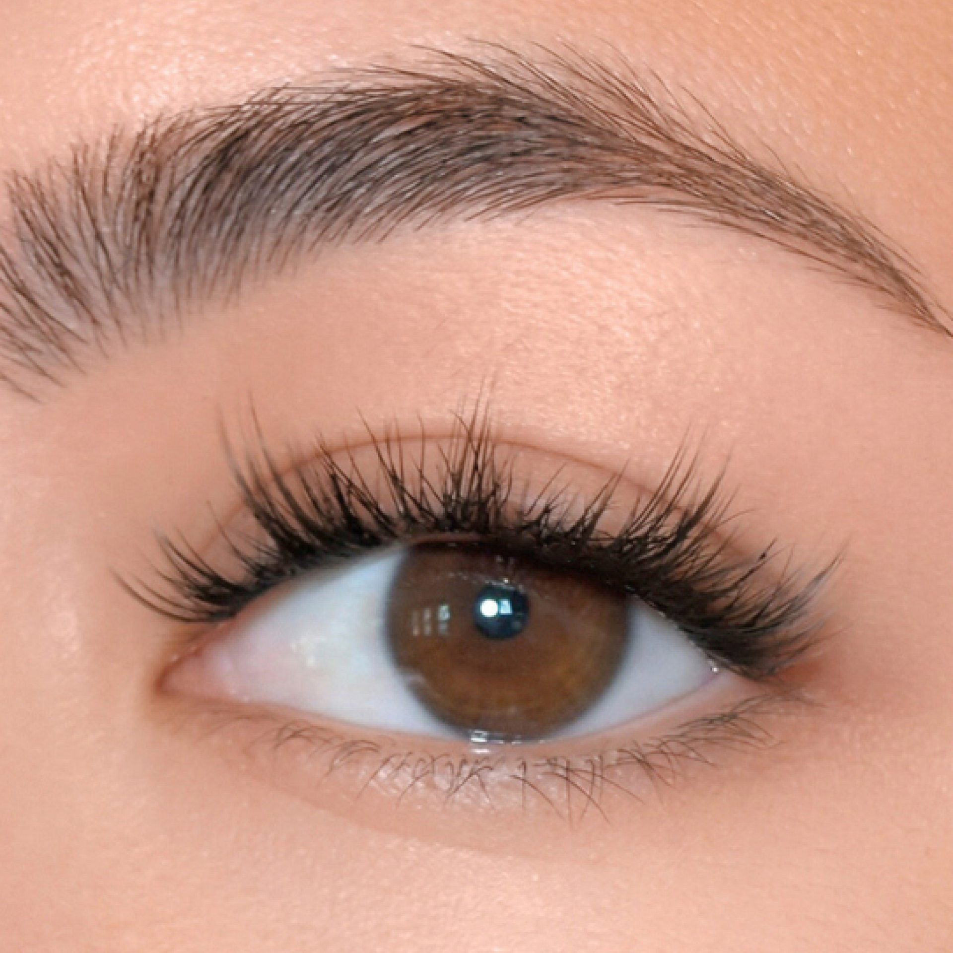 NOONLASH | Korean Silk Lash Technology