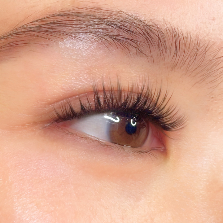 DUSK Silk Lashes, Wispy Volume – NOONLASH